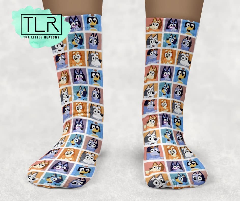 Bluey Panel Socks – The Little Reasons